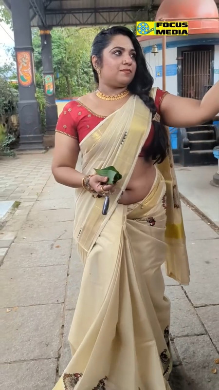 Jipsa Beegam Hot Sexy Big Open Deep Navel in Set Saree mp4 snapshot 01 ...