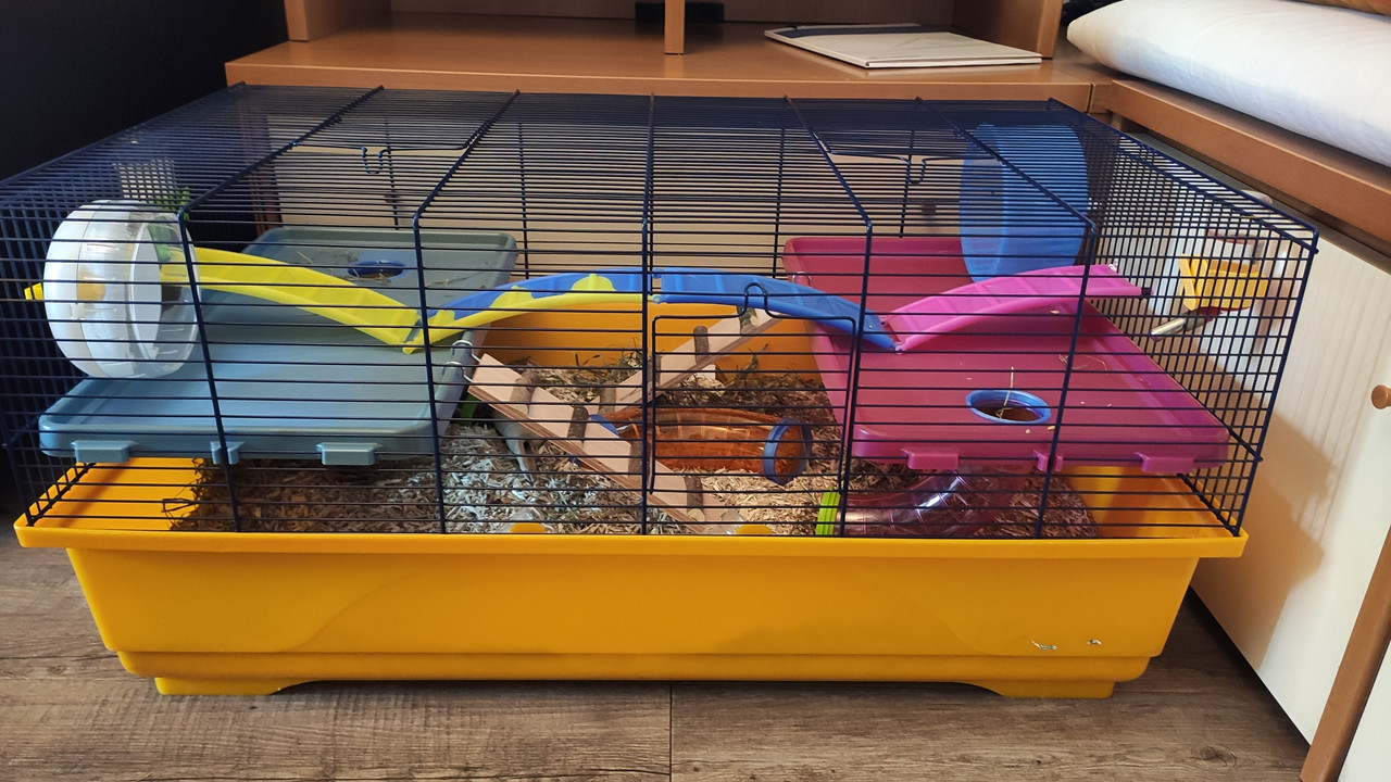 IMG 20230501 150048 — Postimages