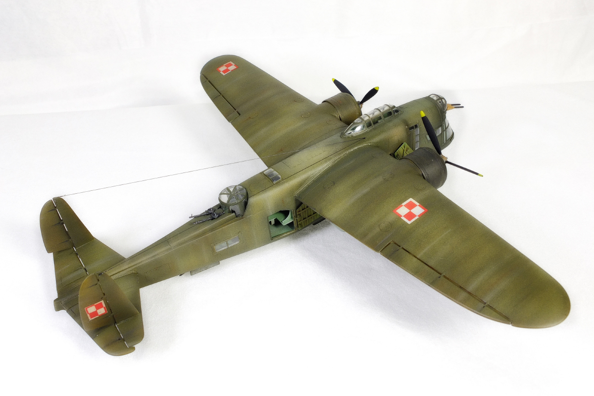 LWS-6 ZUBR - Ready for Inspection - Aircraft - Britmodeller.com