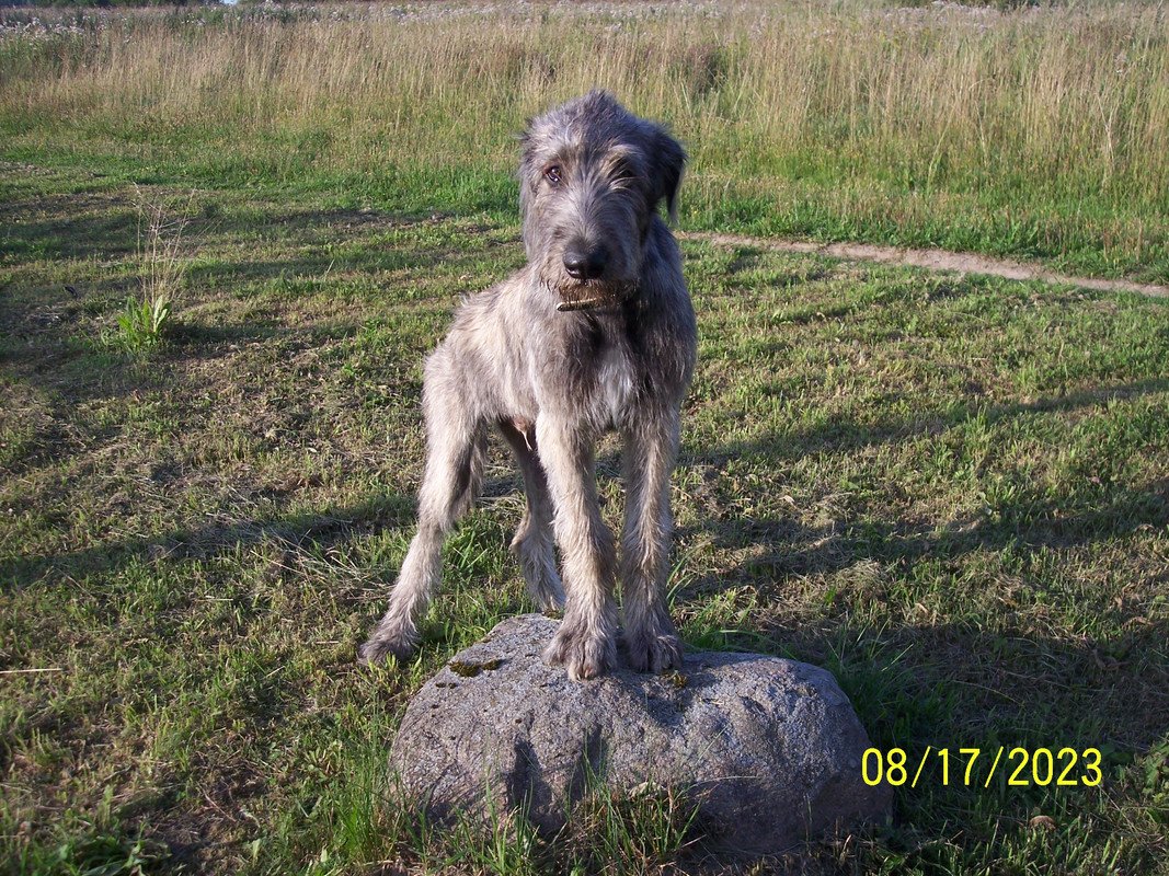 100 4759 — Postimages