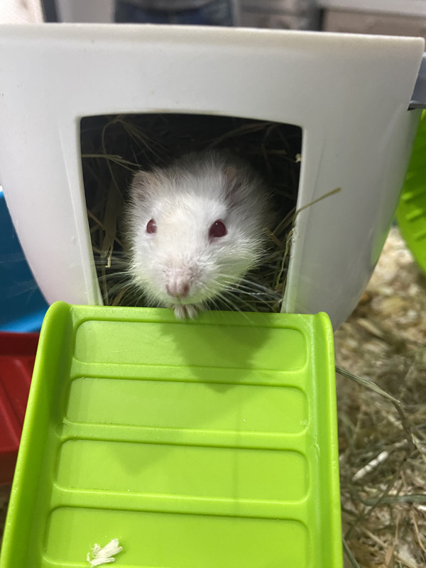 52 FFD07 C 86 E1 4377 8888 5 AB9 E334214 C — Postimages