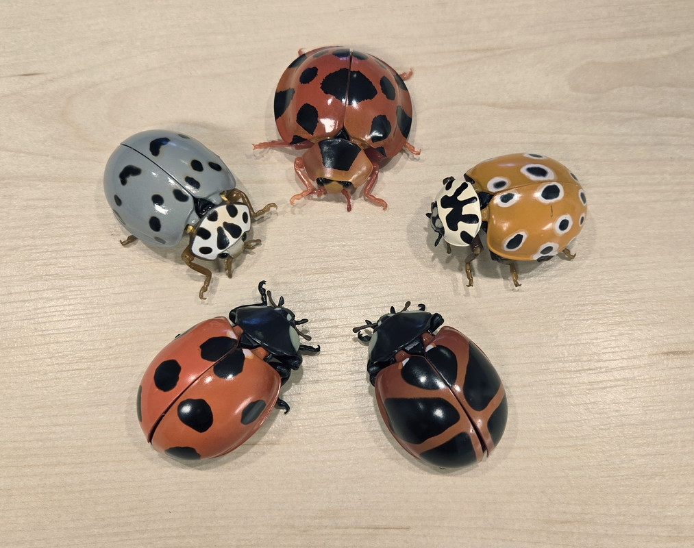 Diversity of Life on Earth by Bandai - Page 2