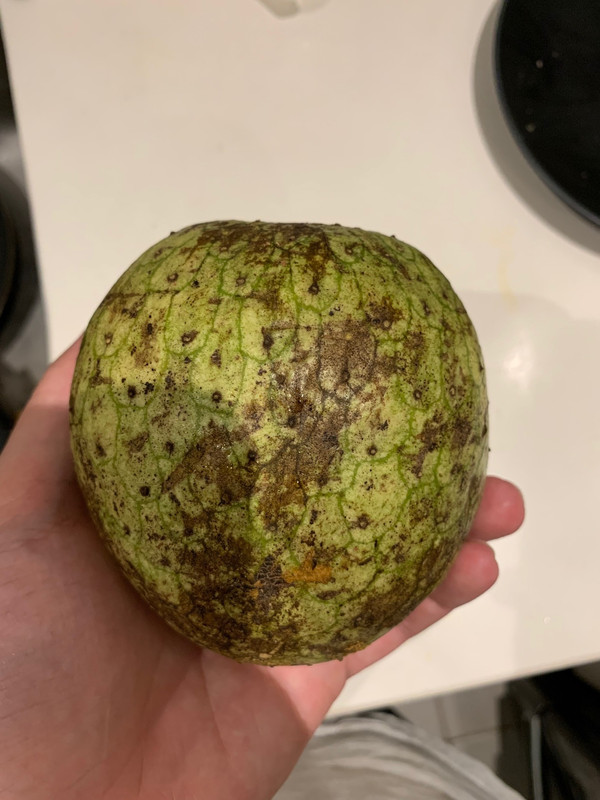 IMG 1729 — Postimages