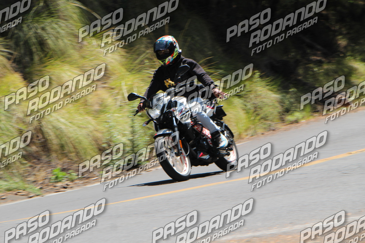 IMG 3700 wm 113388 watermarked — Postimages