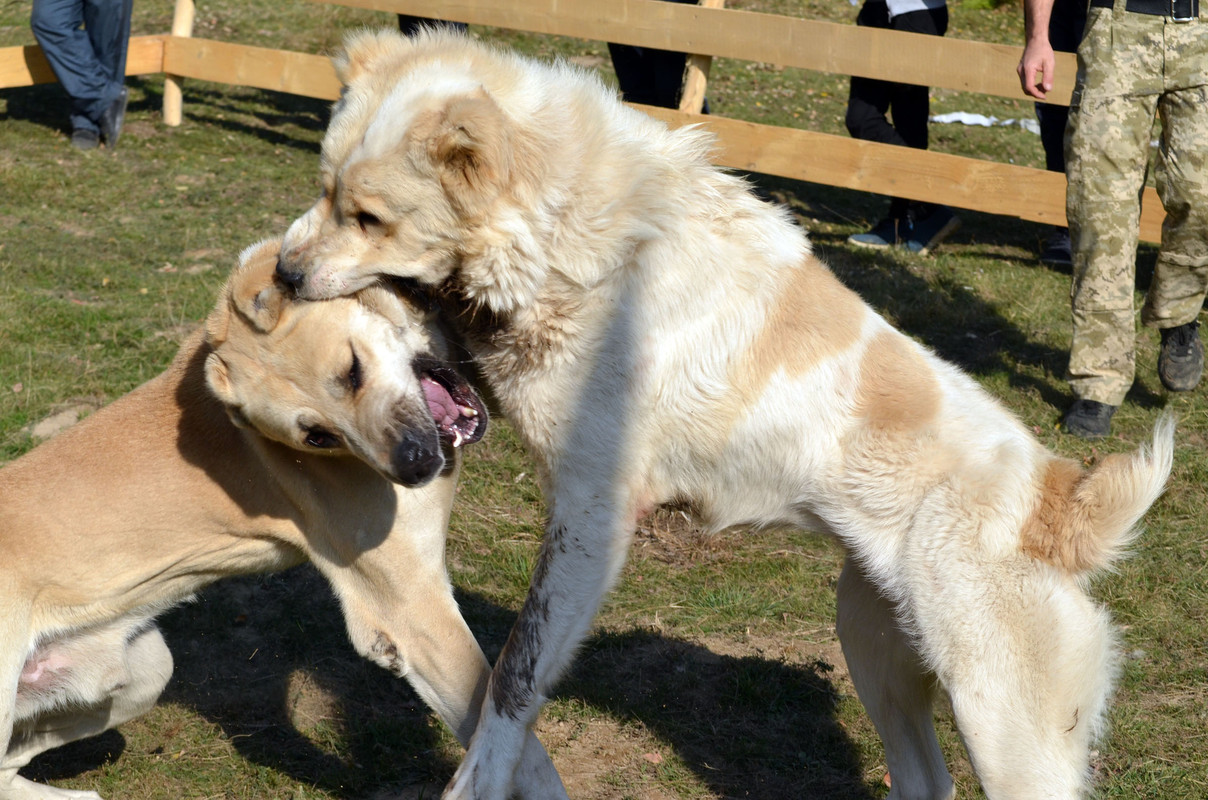 DSC 0780 — Postimages