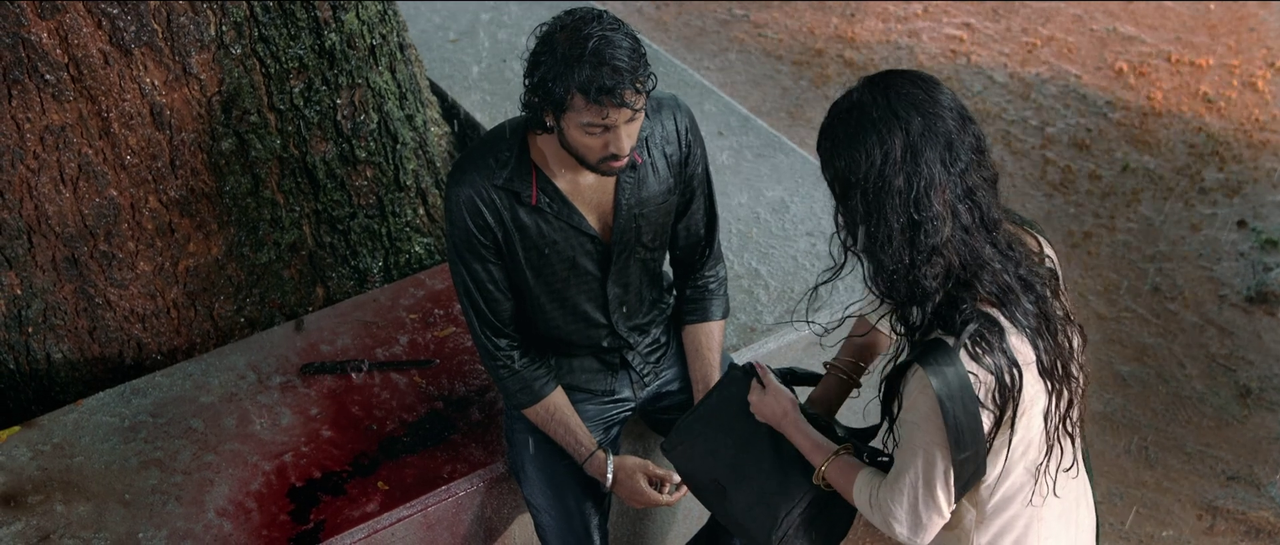 vlcsnap 2025 04 13 20h10m45s288 — Postimages