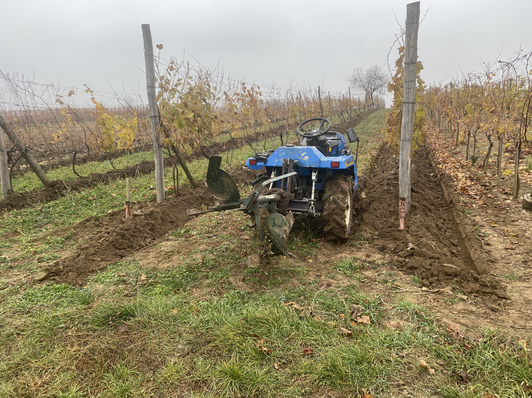 IMG 6948 — Postimages