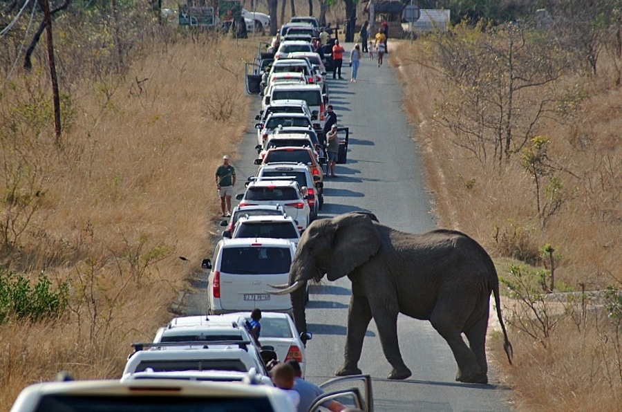 Welcome To The Kruger National Park Page 2
