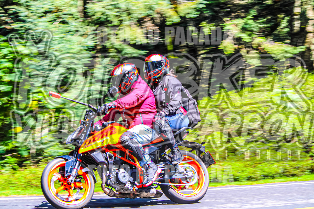 tlacar1s 1005 — Postimages