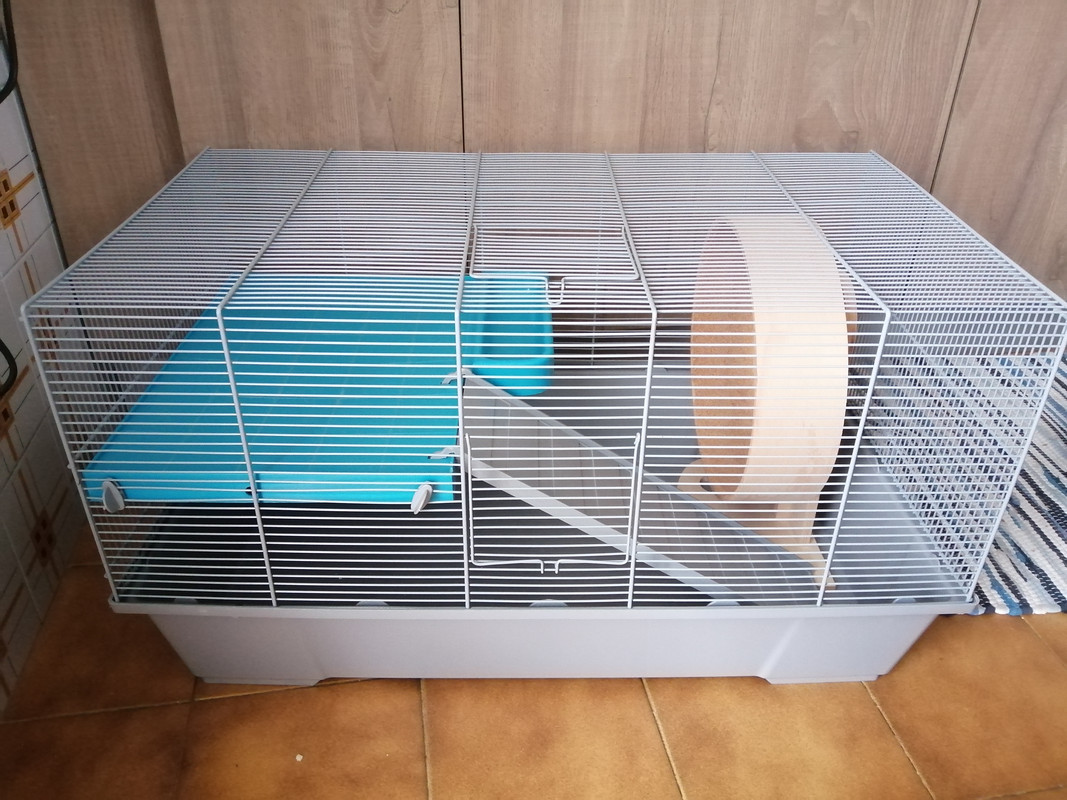 IMG 20221008 163408 — Postimages