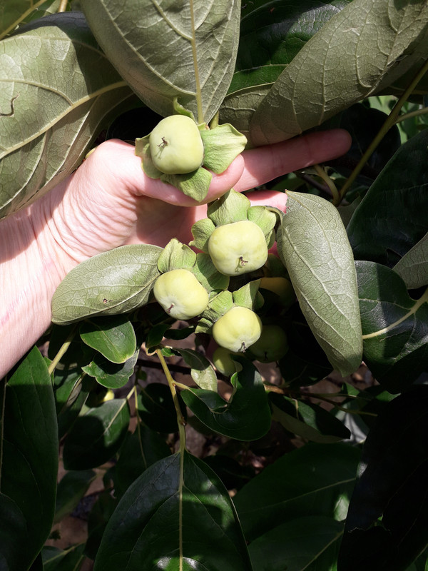 20220707 111642 — Postimages