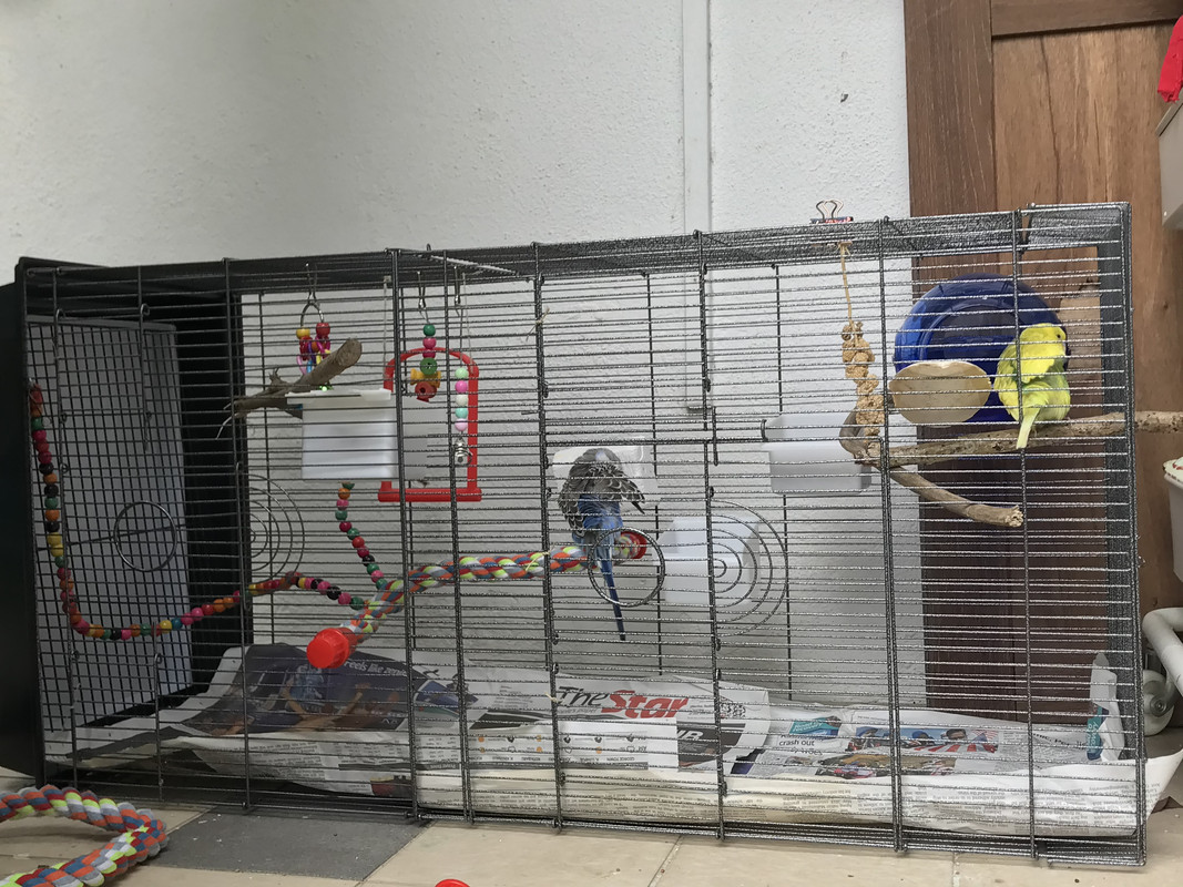 Horizontal cage — Postimages