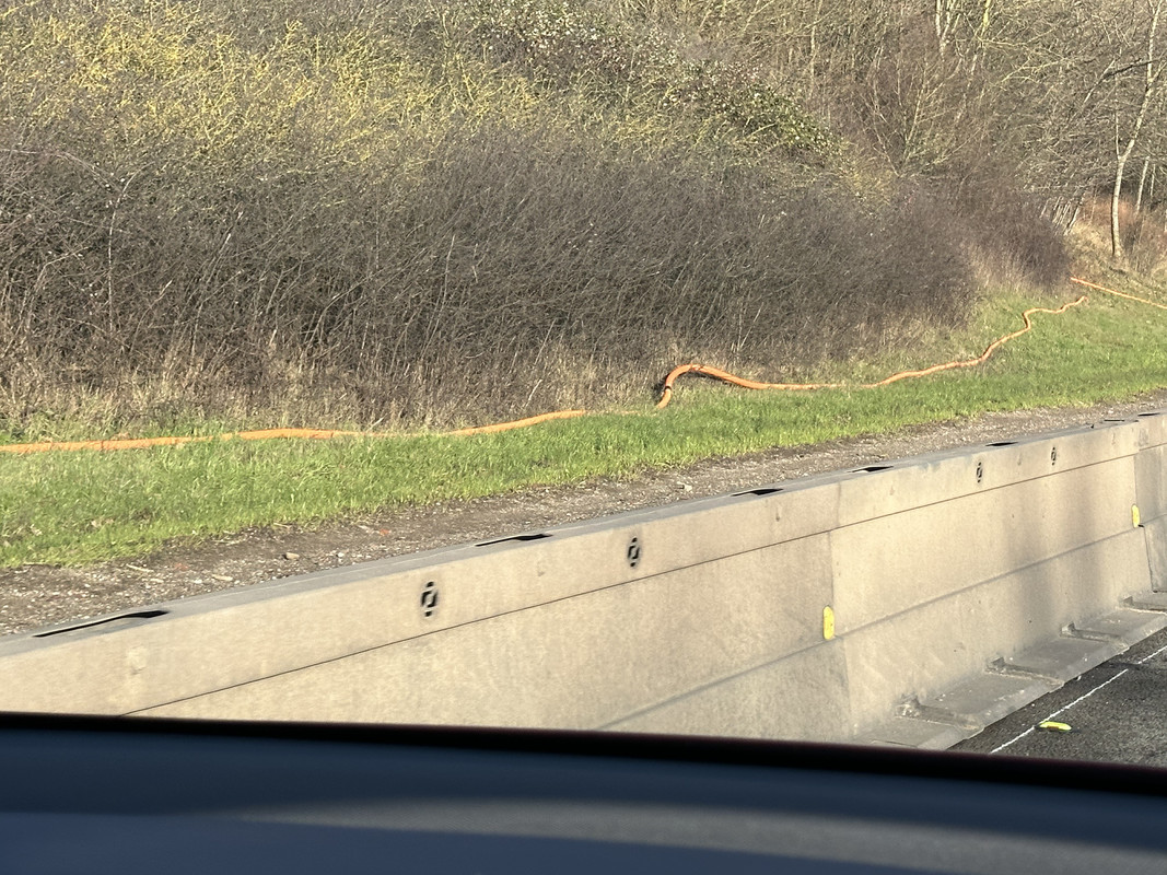 Cd83 E1 D4 24 F9 4 E5 D A0 F7 097 De99 C81 E8 Postimages