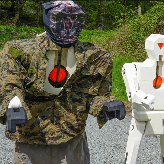 The BEST DIY target ever. > General Firearm Discussion > AR15.COM