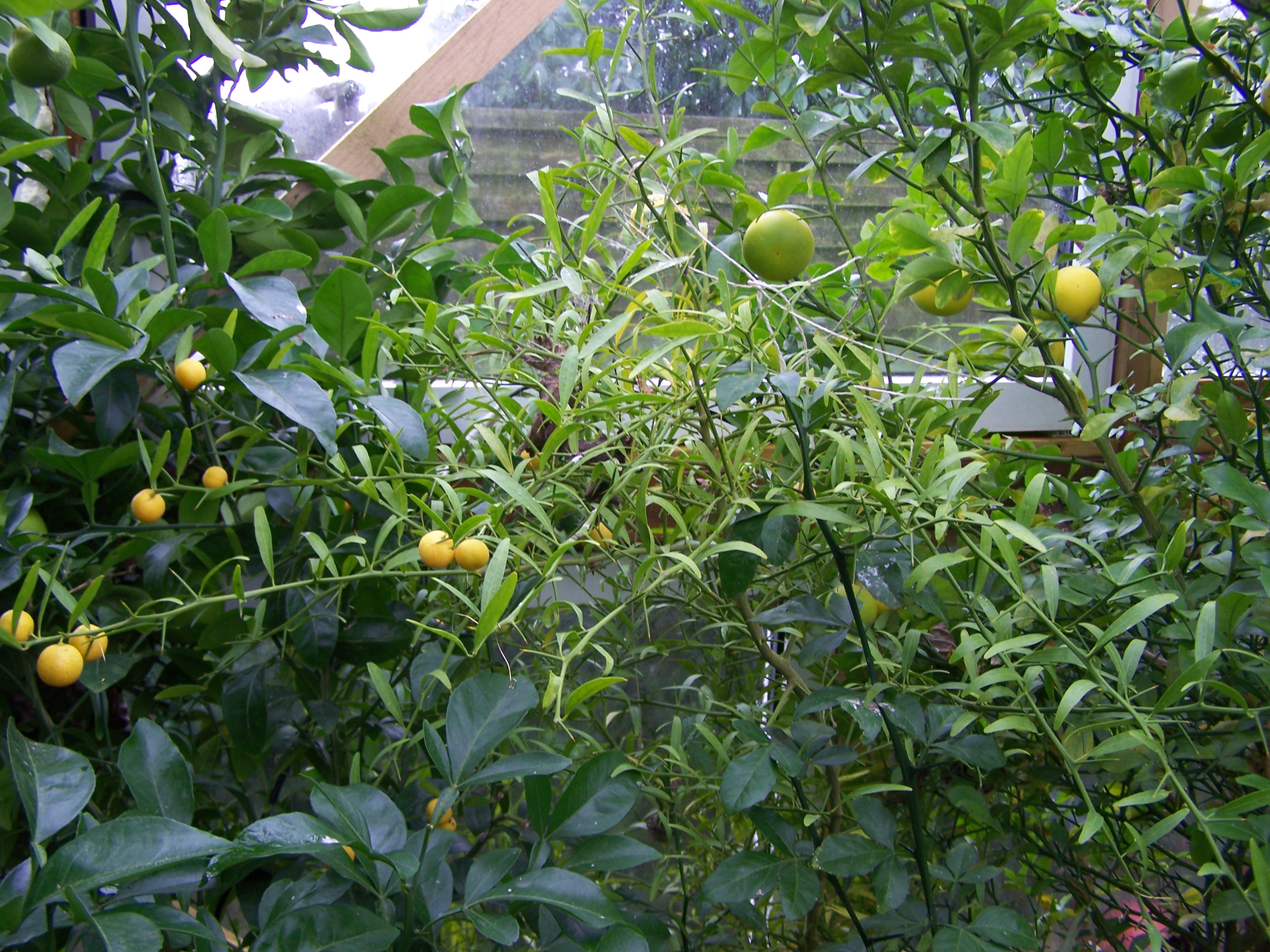 000 0059 — Postimages