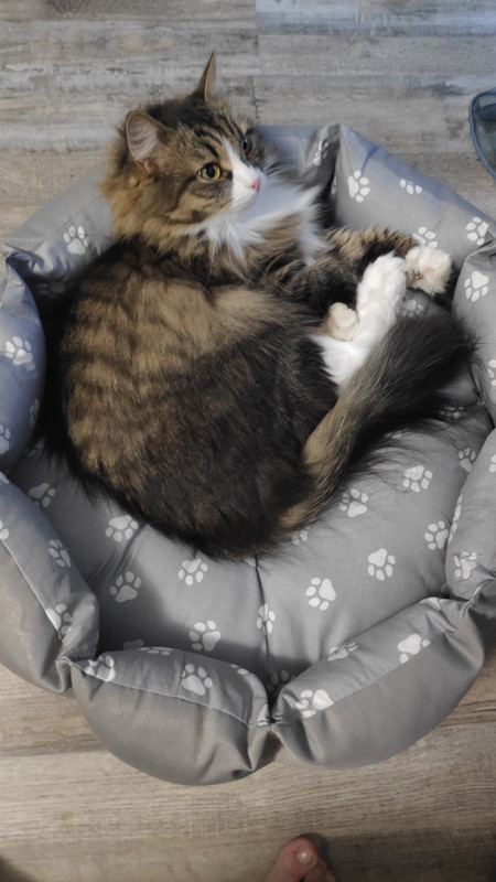 IMG 20220616 201048 — Postimages