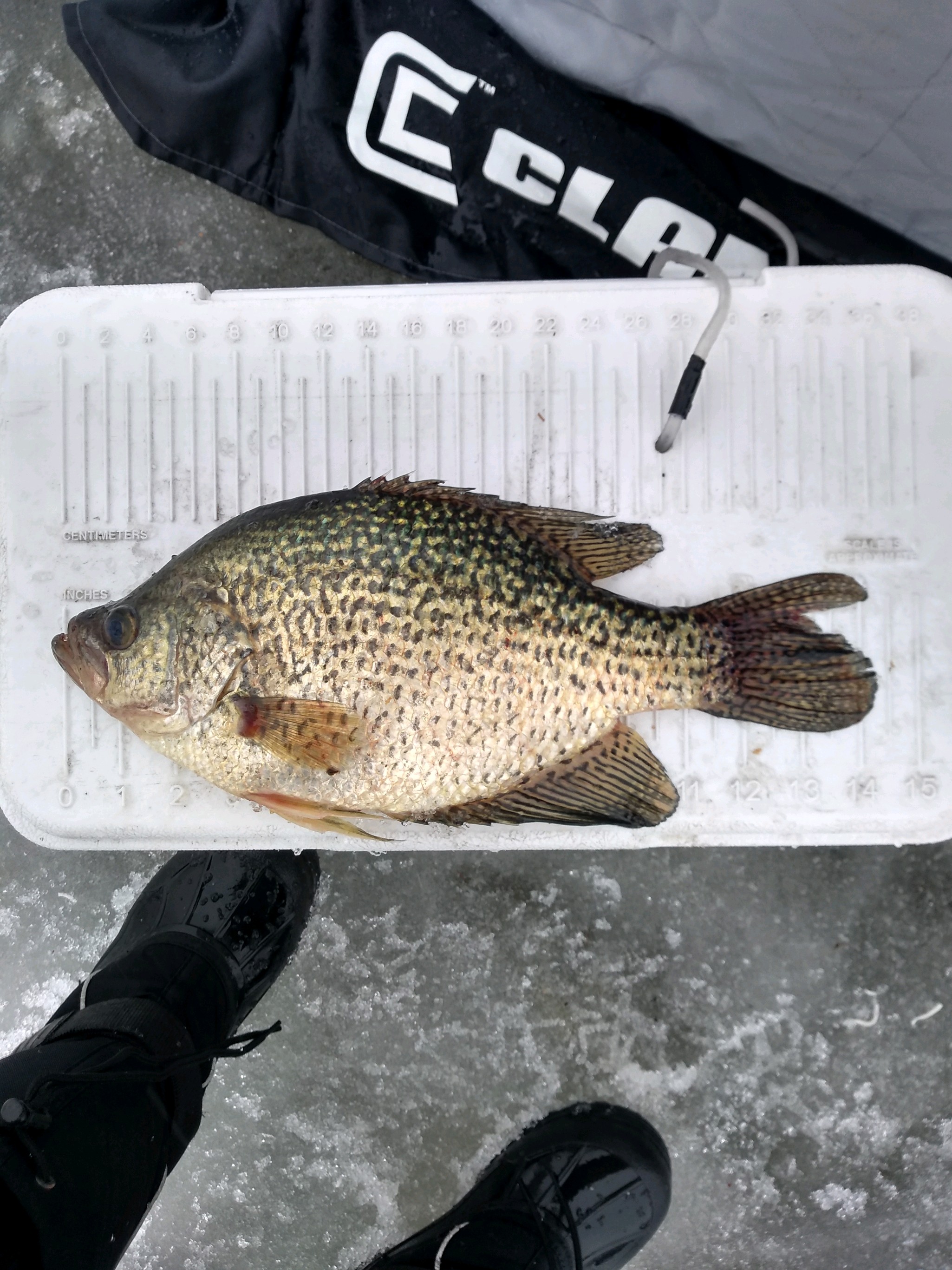 Goody's biggest slab — Postimages