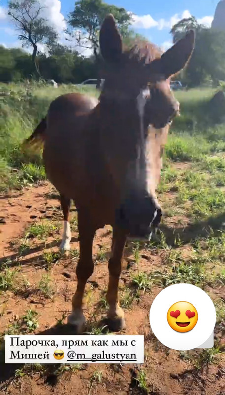 Screenshot 20230220 223900 Instagram — Postimages