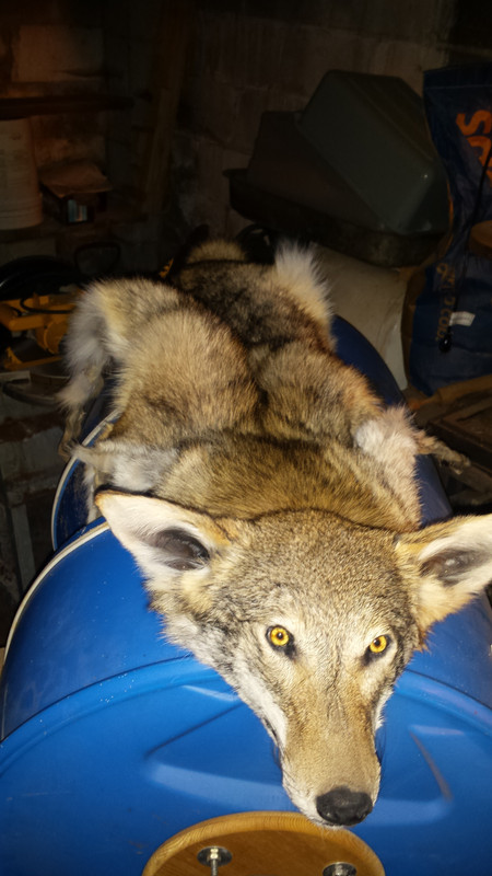 20150225 174441 — Postimages