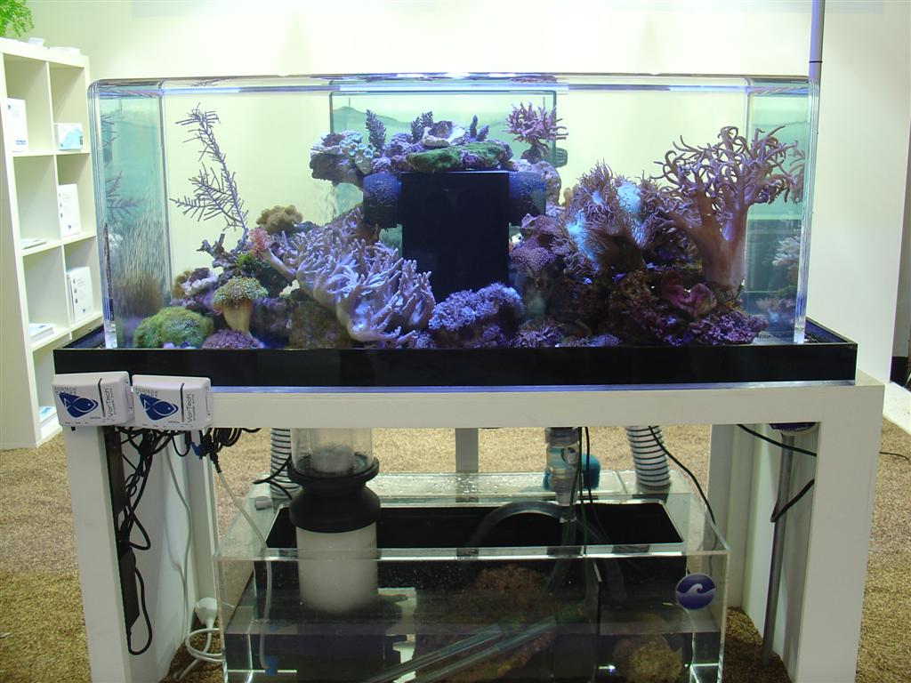 DSC04513 Large — Postimages