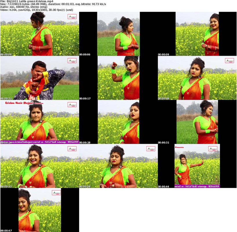 Bhj1611 Lalita green Krishna — Postimages