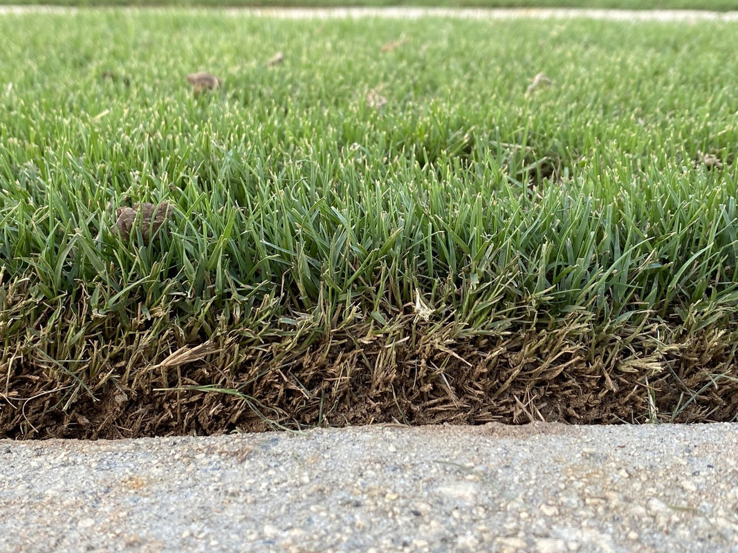 Bermuda Triangle's - Tifway 419 Journal | Lawn Care Forum