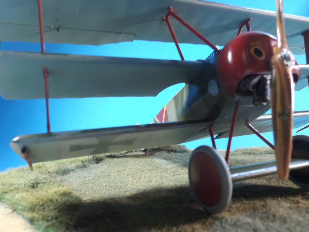 Meng and Roden Fokker DR1: Jasta 4, Jasta 6, and Jasta 11