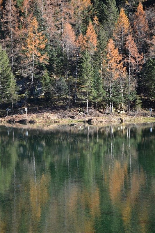 DSC 0503 — Postimages