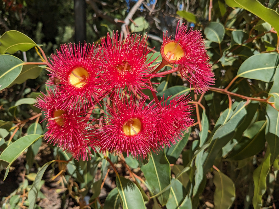 PXL 20240311 022216903 — Postimages