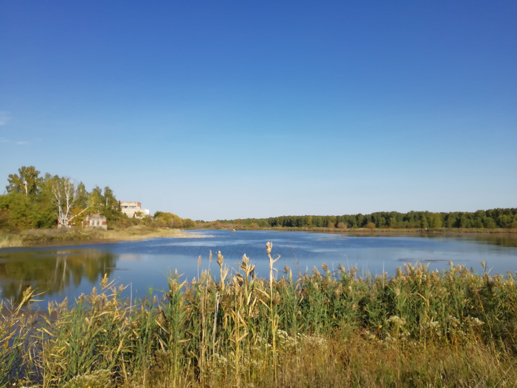 IMG 20200914 104534 — Postimages