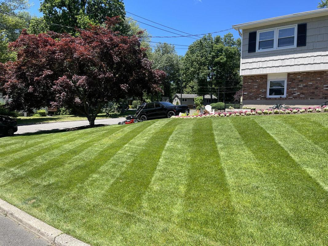 4 F072 DAC A979 4 DF8 AA9 B 5 E0148 FFCD28 — Postimages