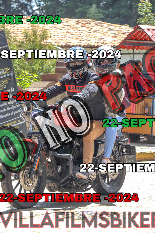 CV 1019 — Postimages