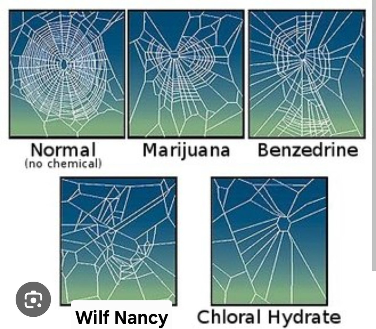 Wilfired Nancy || Punted. Official - Page 727 - Kerrydale Street