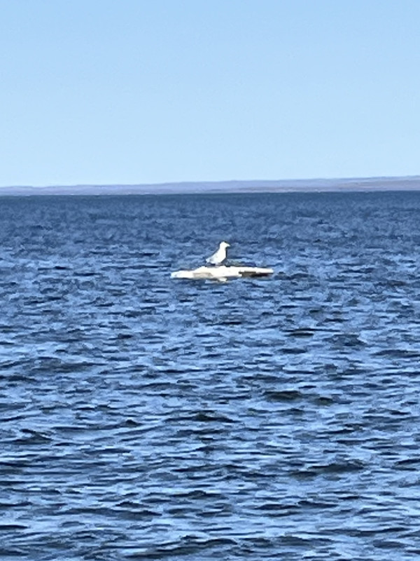 IMG 0866 — Postimages