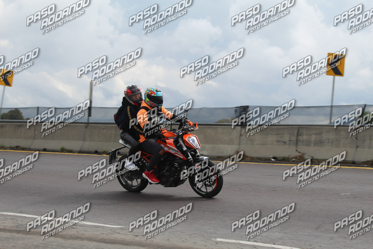 Album — Postimages