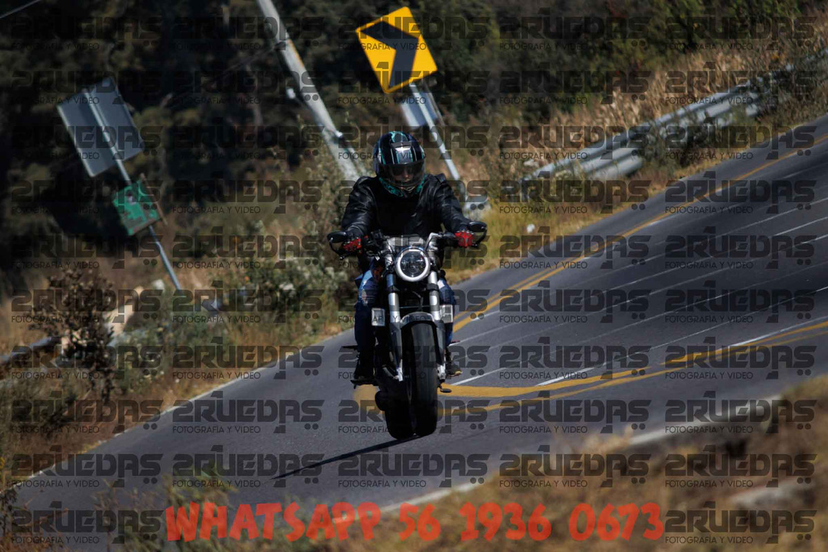 MG 8321 — Postimages