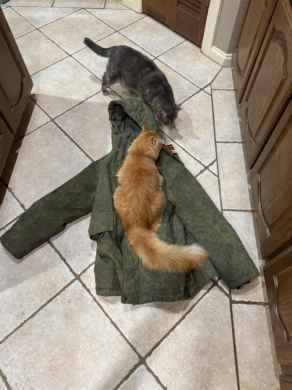 Review-Russian EMR winter jacket > General Discussion > AR15.COM