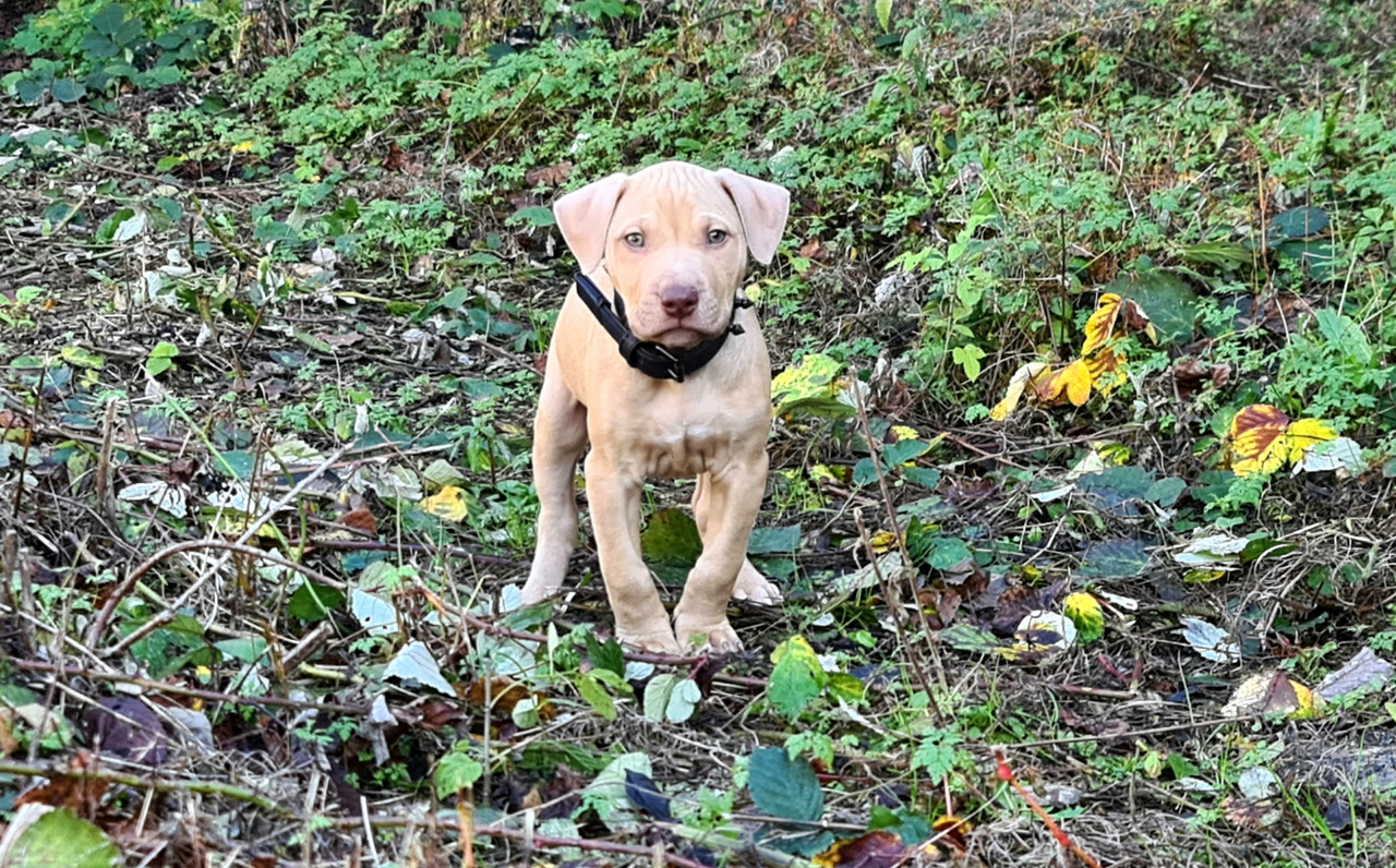 F1844 CDD B00 E 495 E A10 A 0699 DCAC6 AAB — Postimages