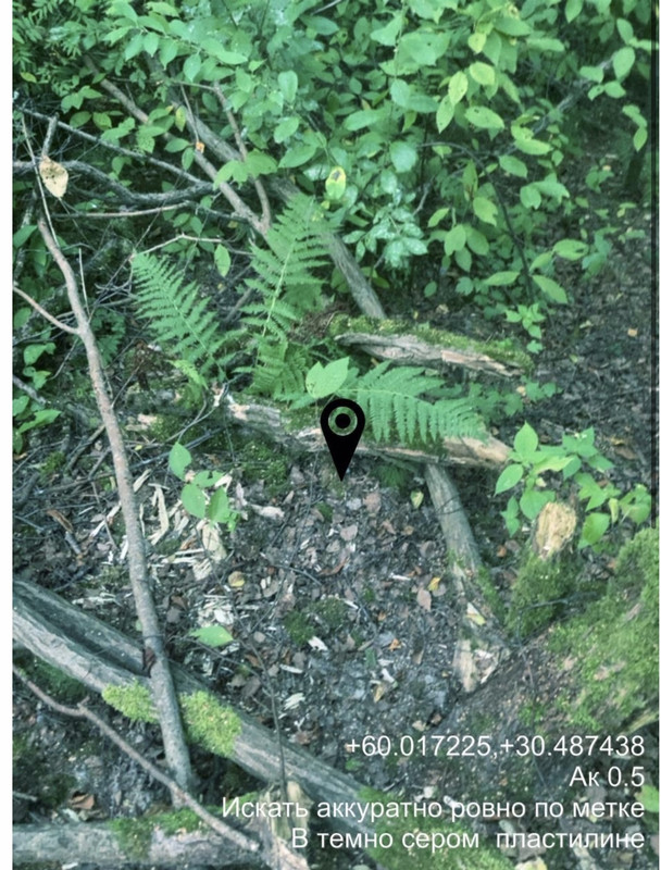 IMG 5670 — Postimages