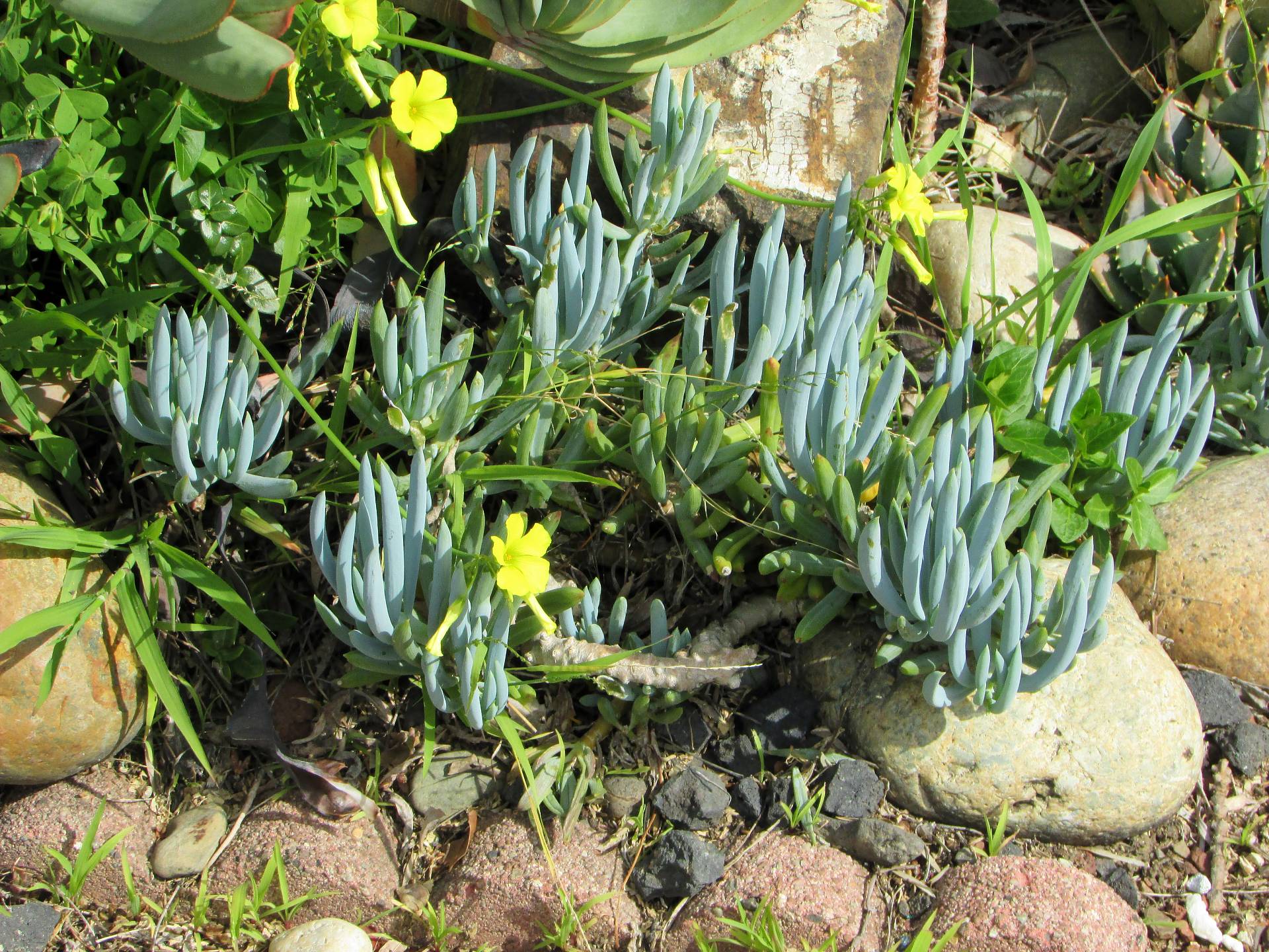 IMG 5008 — Postimages