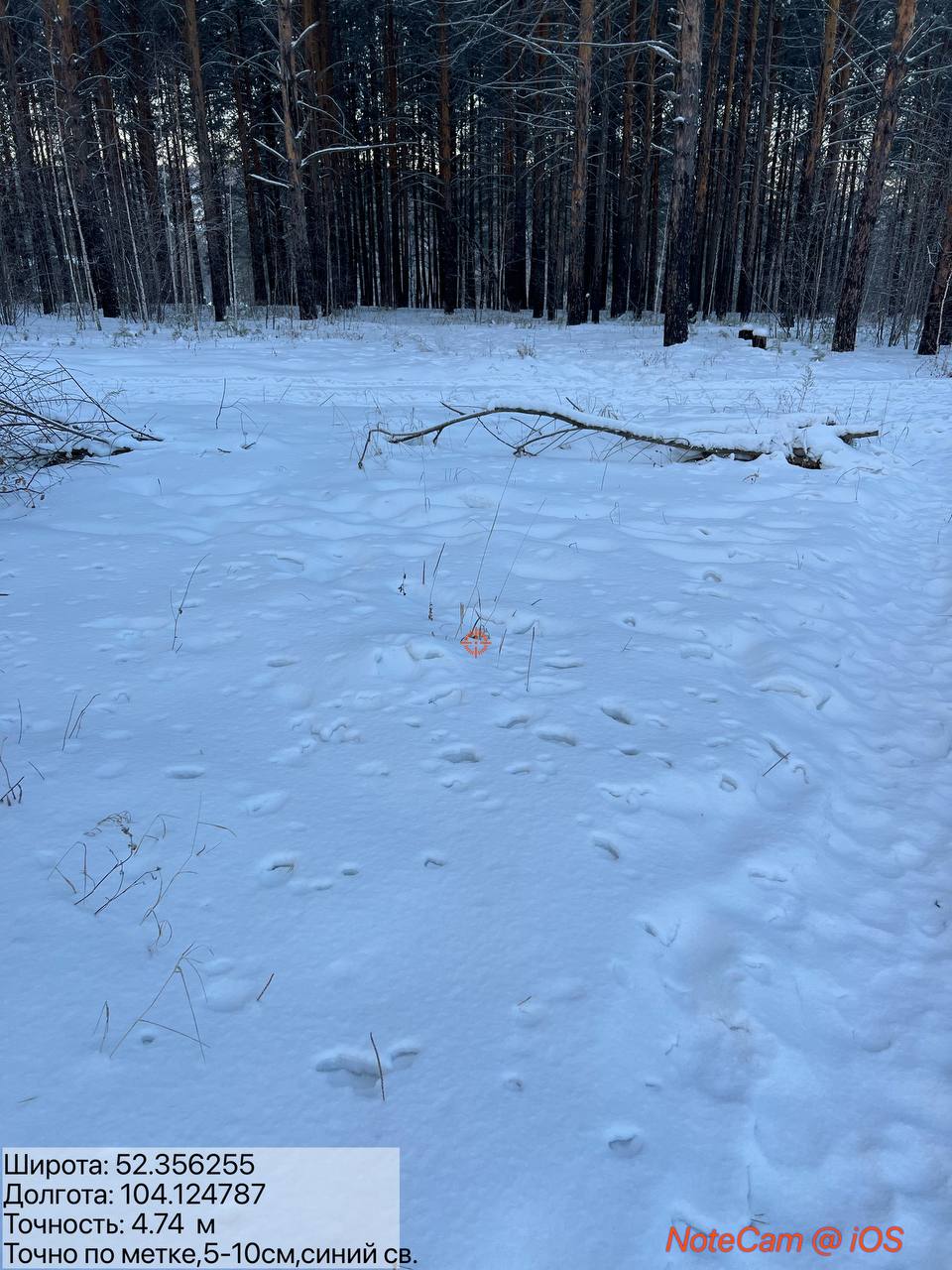 IMG 20240110 104057 106 — Postimages