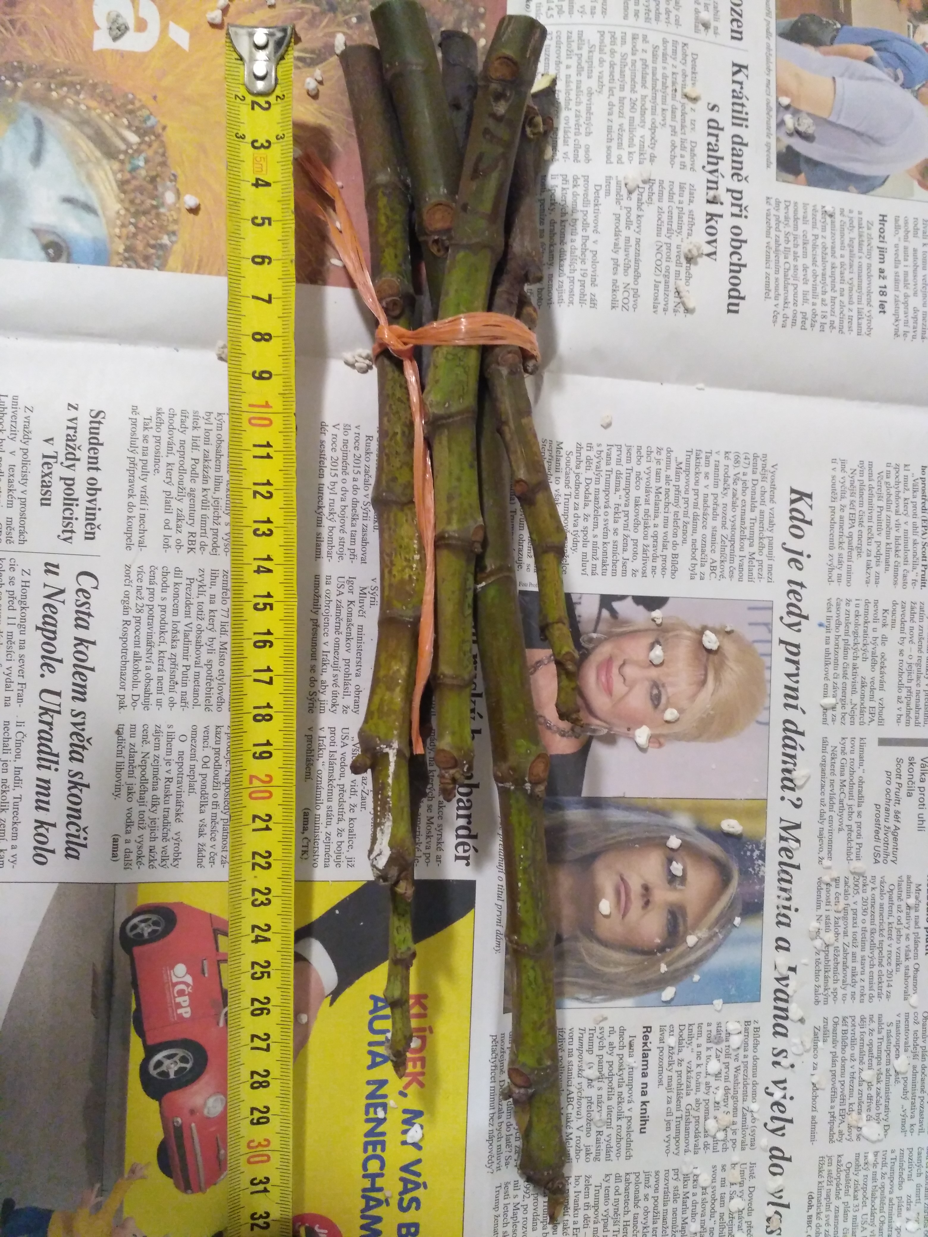 LSU Gold — Postimages