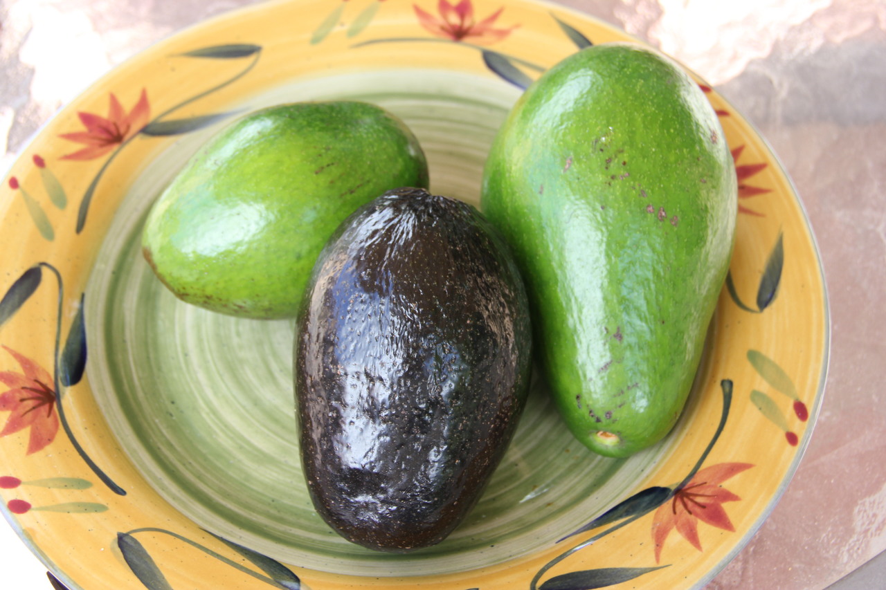 IMG 3133 — Postimages