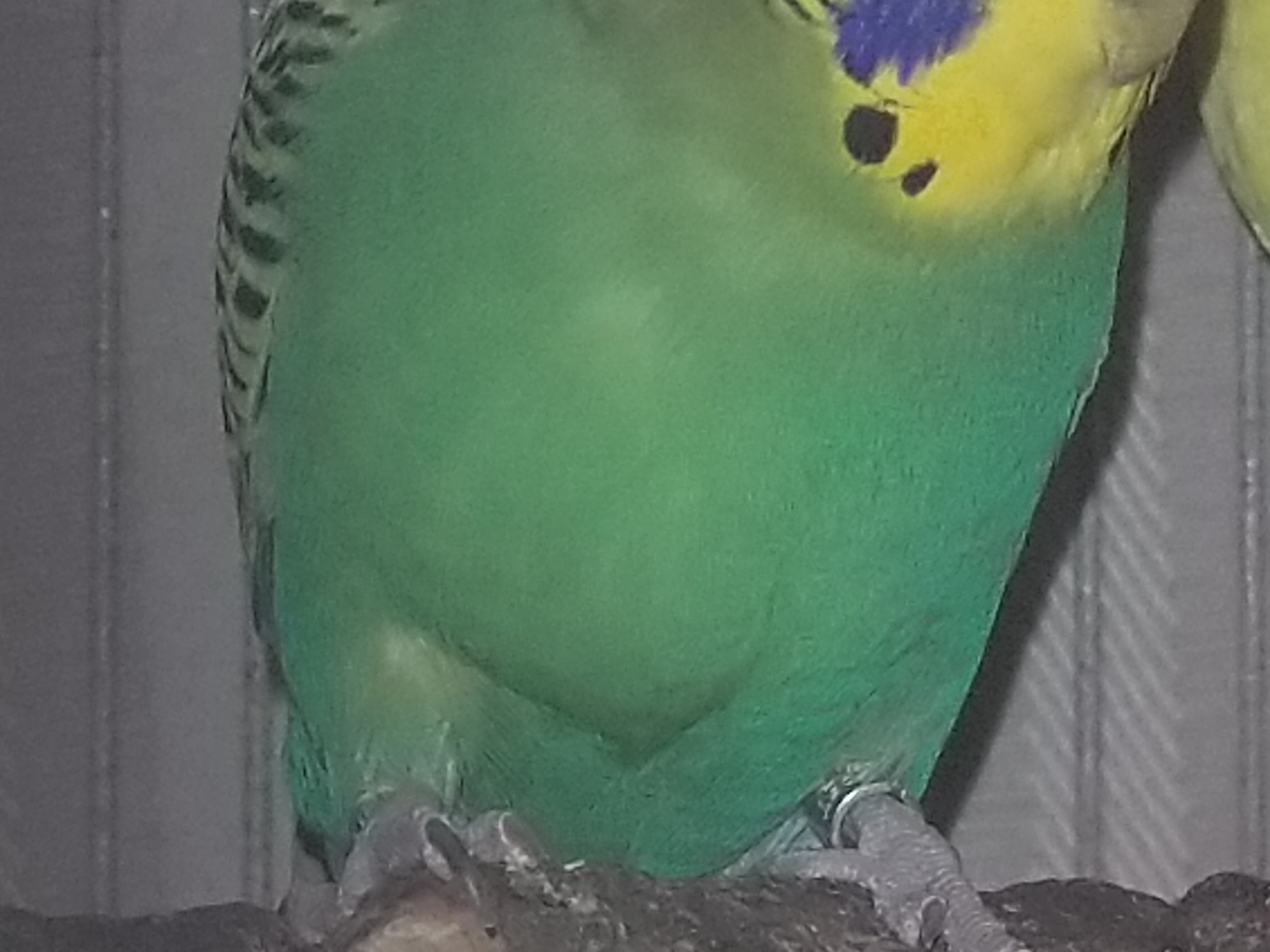 20201126 132217 — Postimages