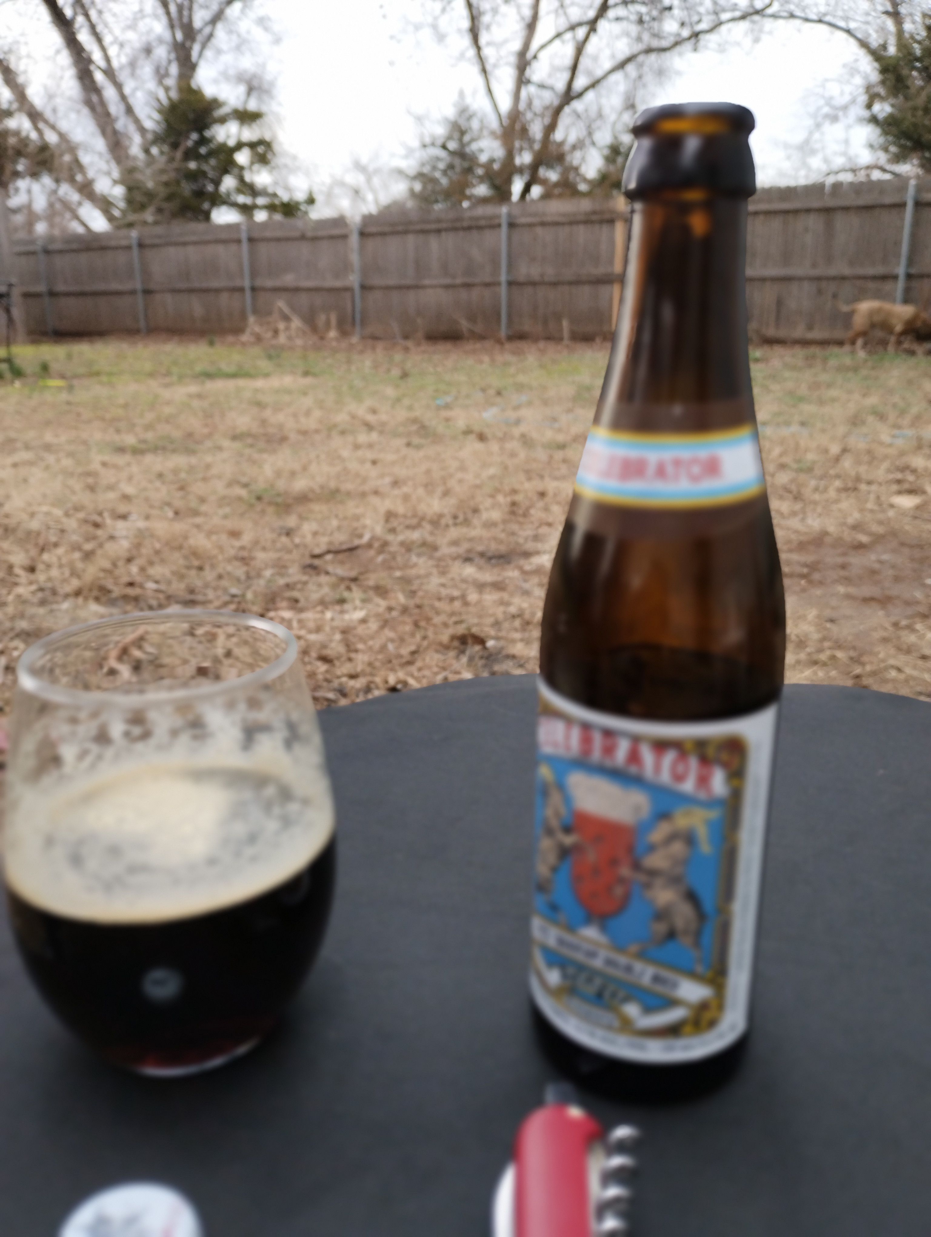 IMG 20240209 081933911 PORTRAIT — Postimages