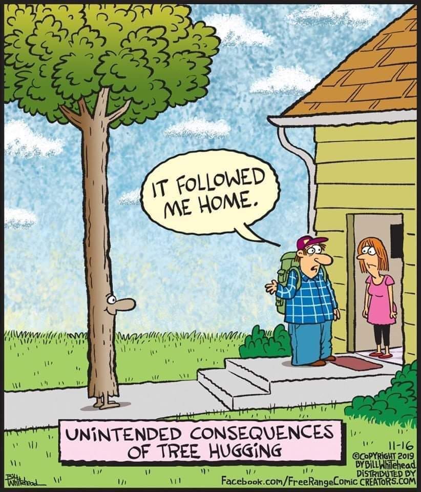 tree hugging — Postimages