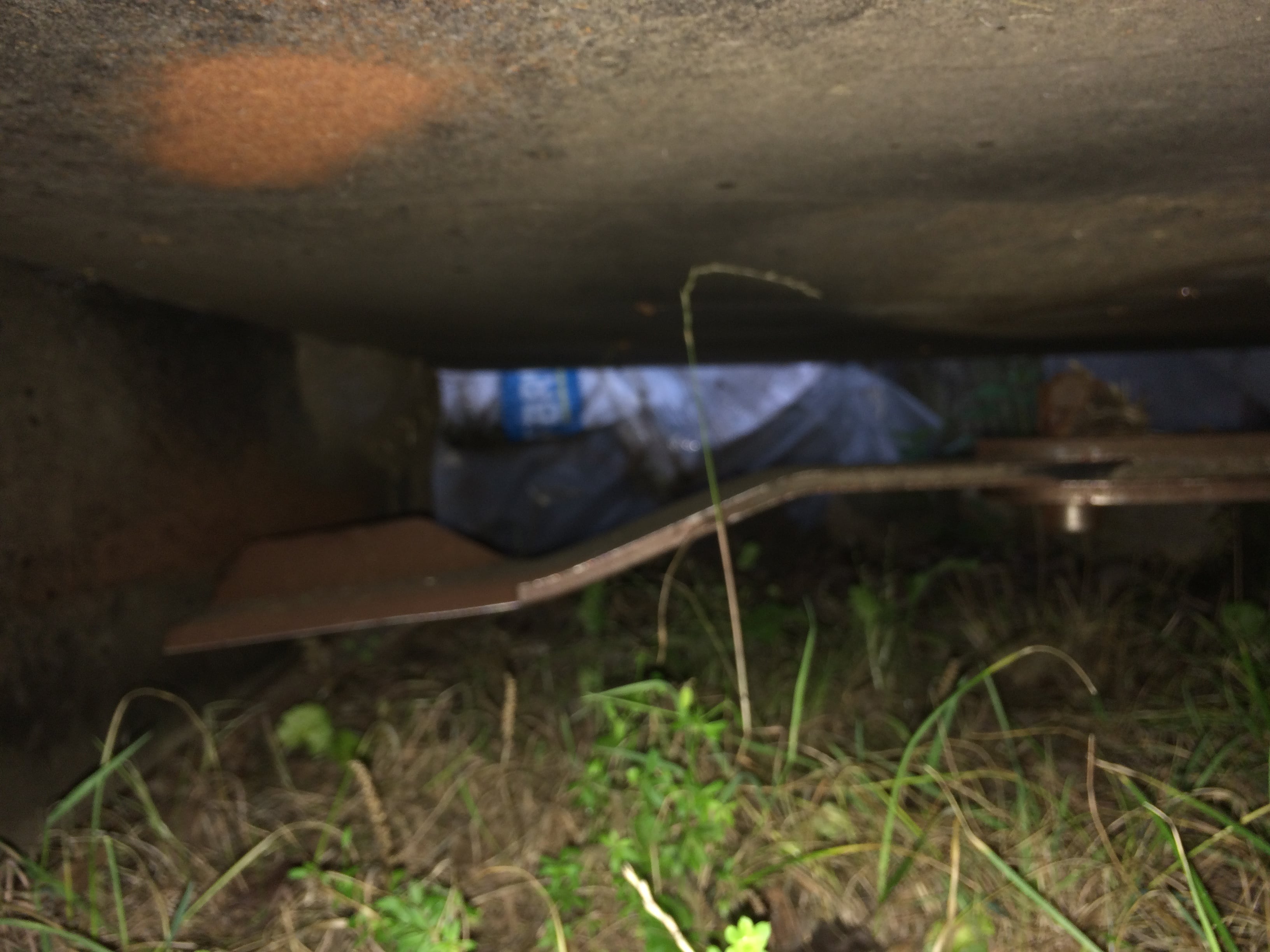 IMG 1669 — Postimages