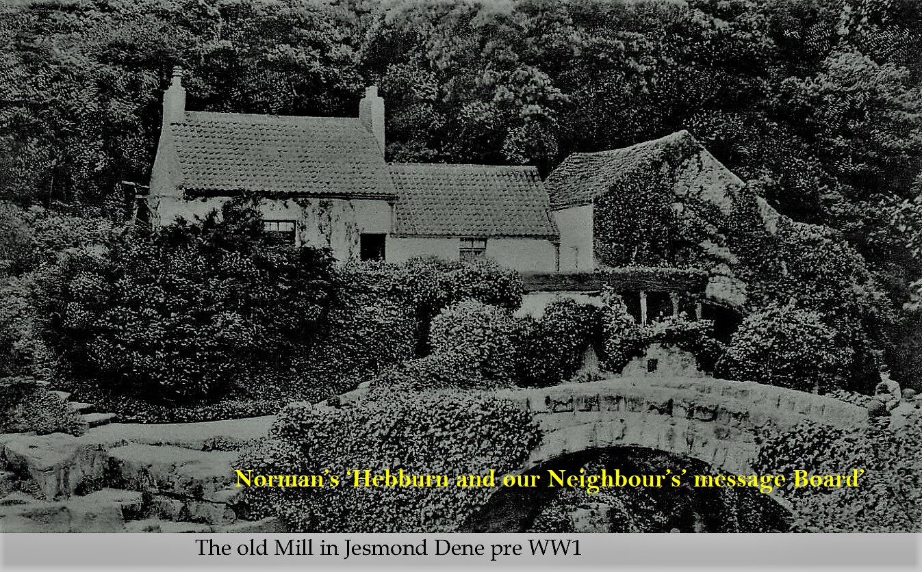 Jesmond Dene old mill postcard 1915 — Postimages