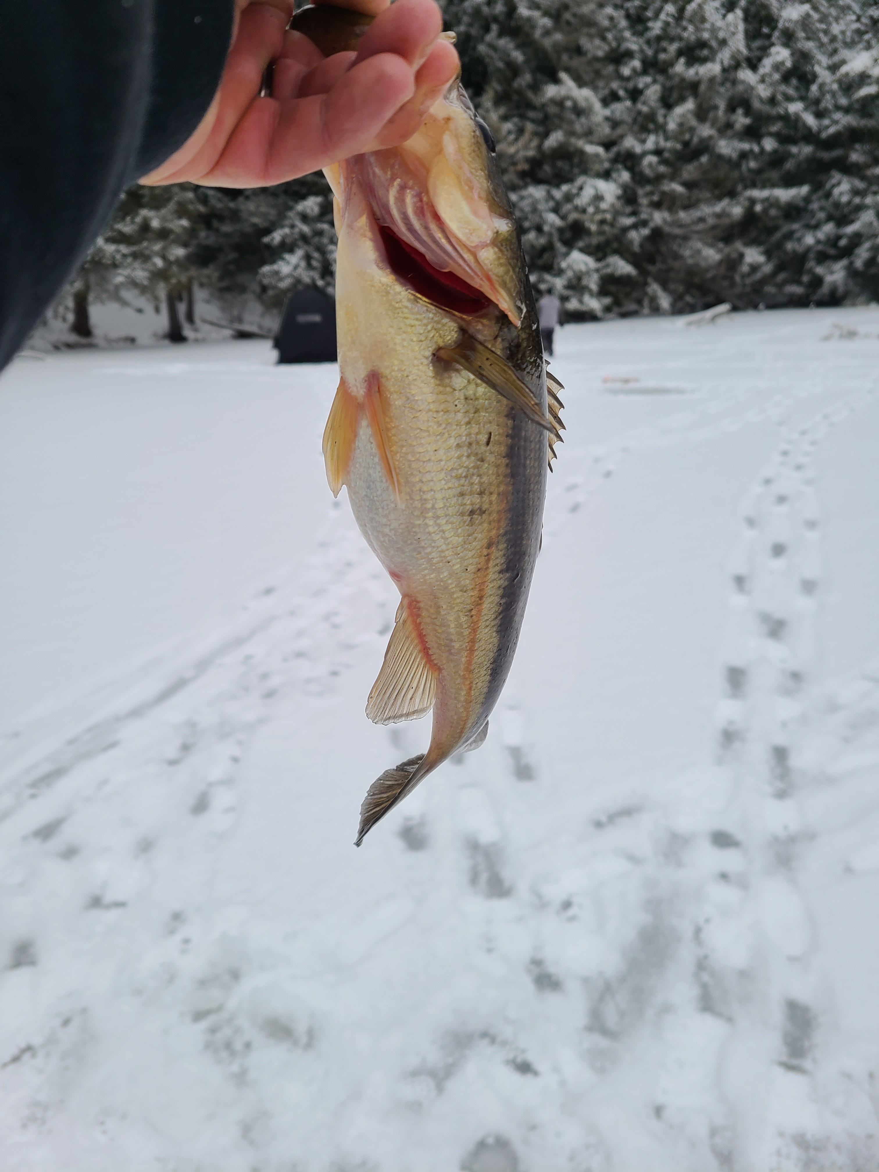 20230226 071629 — Postimages