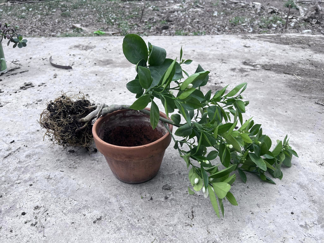 micronow — Postimages